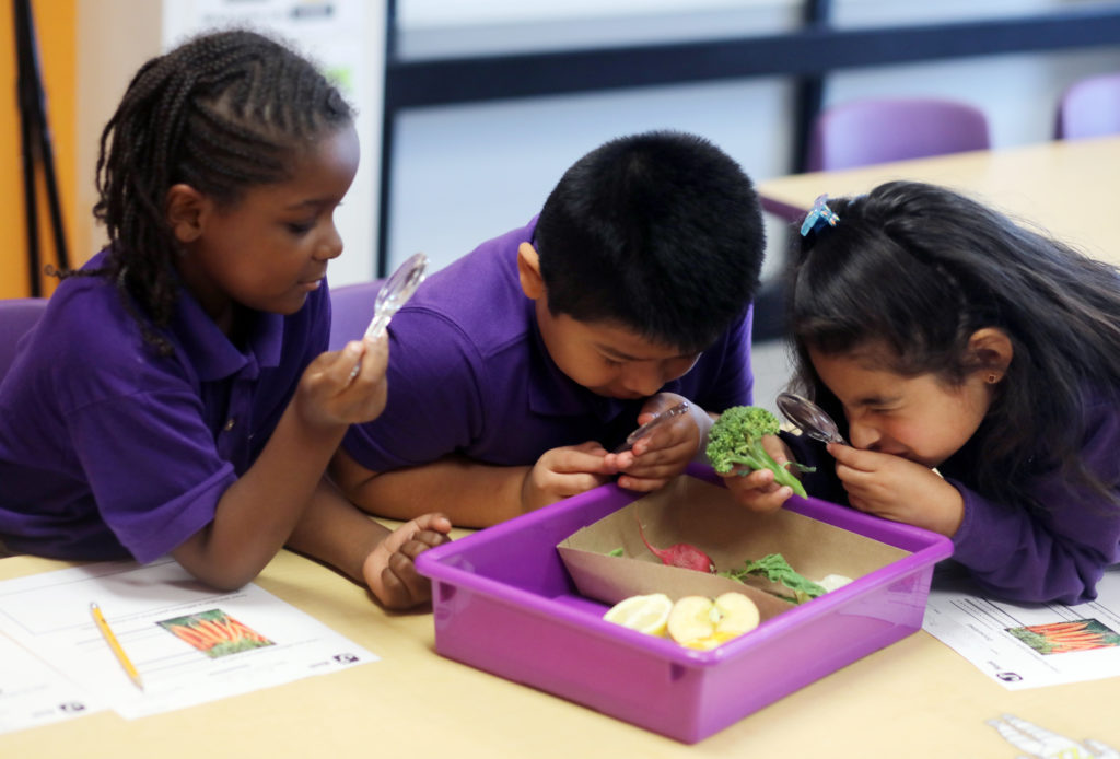 Support Rocketship Nashville Northeast Elementary School’s New Summer ...